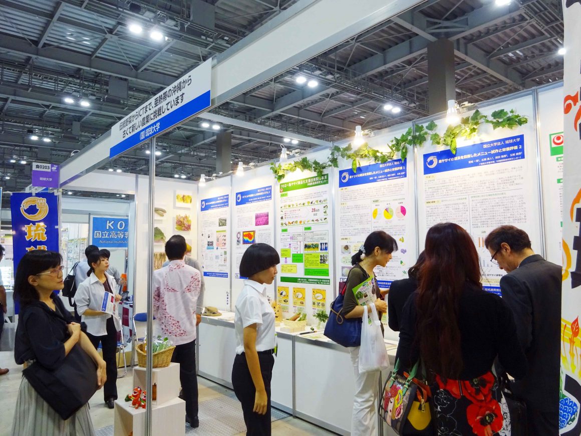 Organization for Regional Collaboration | THE UNIVERSITY OF THE RYUKYUS